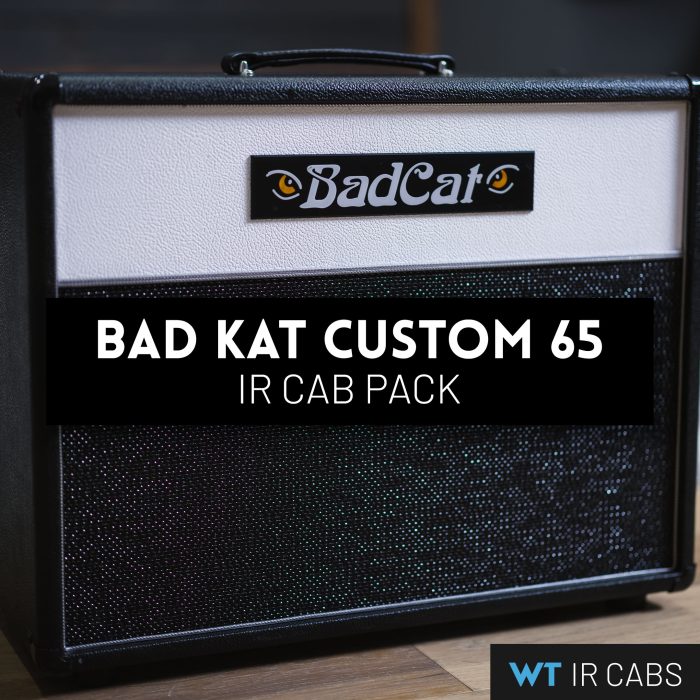 Bad Kat Custom 65 Cab Pack - Worship Tutorials